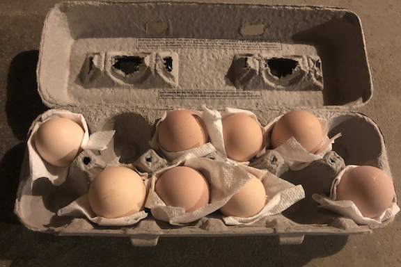 Ruby Loves Eggs, Too – Farmer-ish