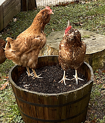 Worry Work – Farmer-ish