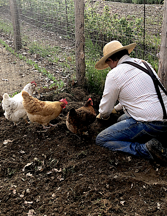 Chicken Profile: Schumann – Farmer-ish