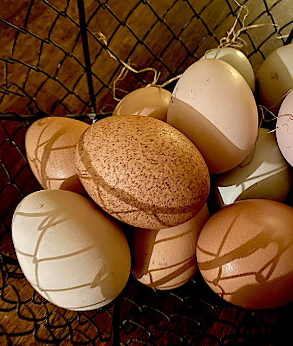 The Precious – Farmer-ish