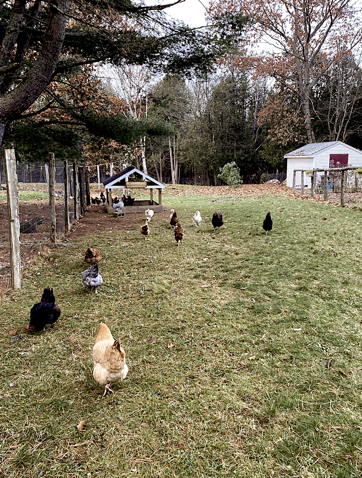 Buttoning Up – Farmer-ish